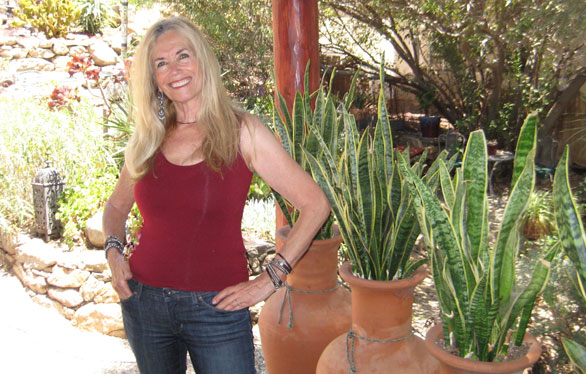Vegetarian StarMimi Kirk